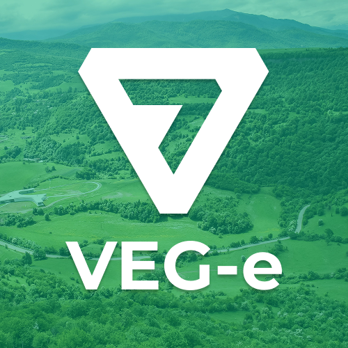 Կոմունալ տեխնիկայի կառավարվող պարկ Veg Eens 7219